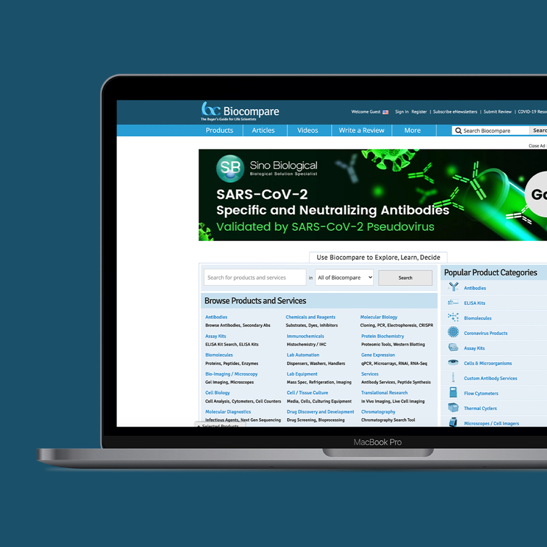 Compare Networks | Work | Calcey
